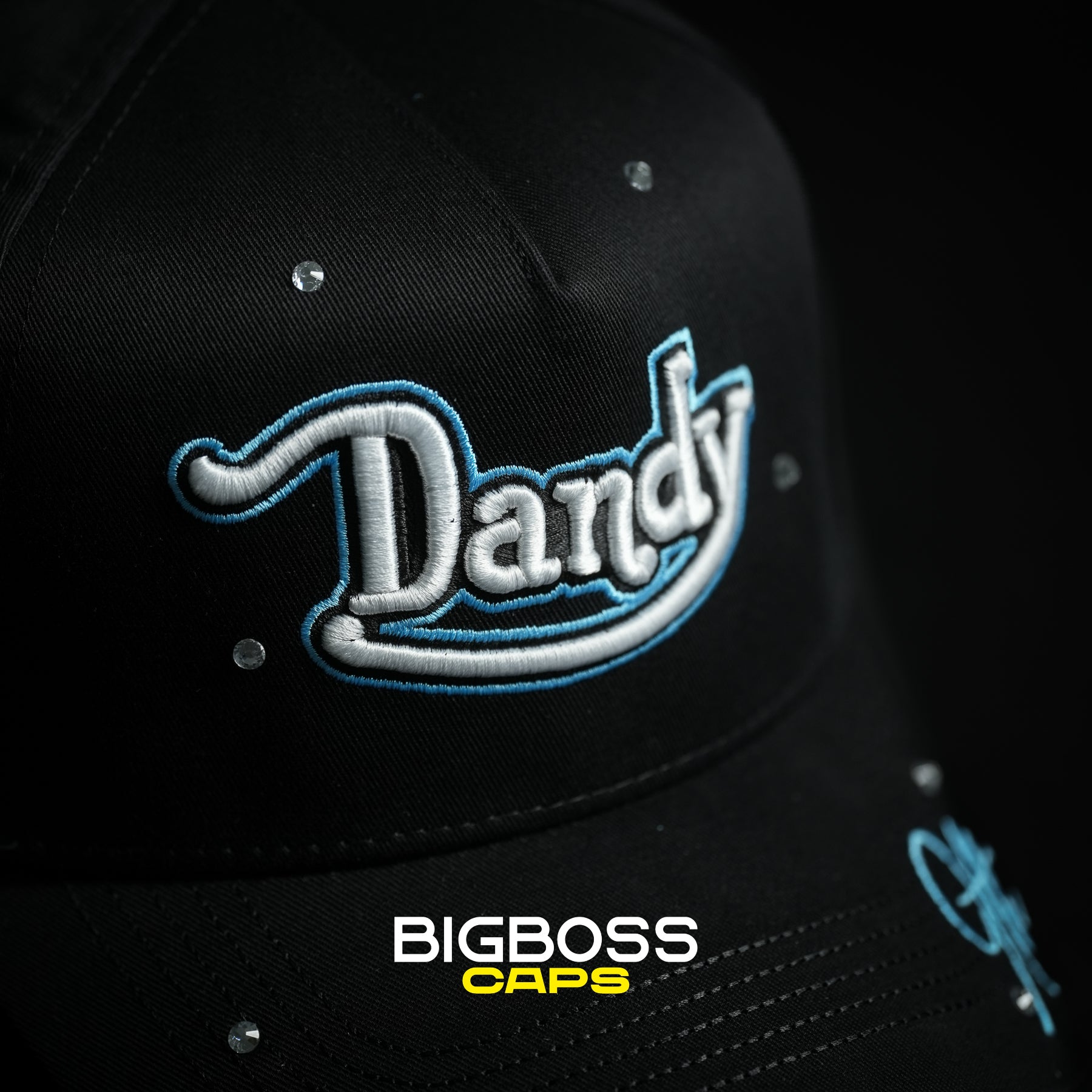 DANDY HATS – Bigboss Caps
